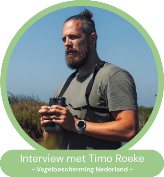 Interview met Timo Roeke - Hallo Groen